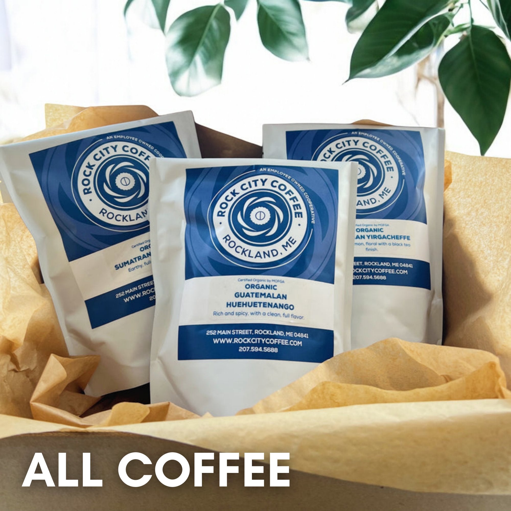 All Coffee – Rock City Coffee